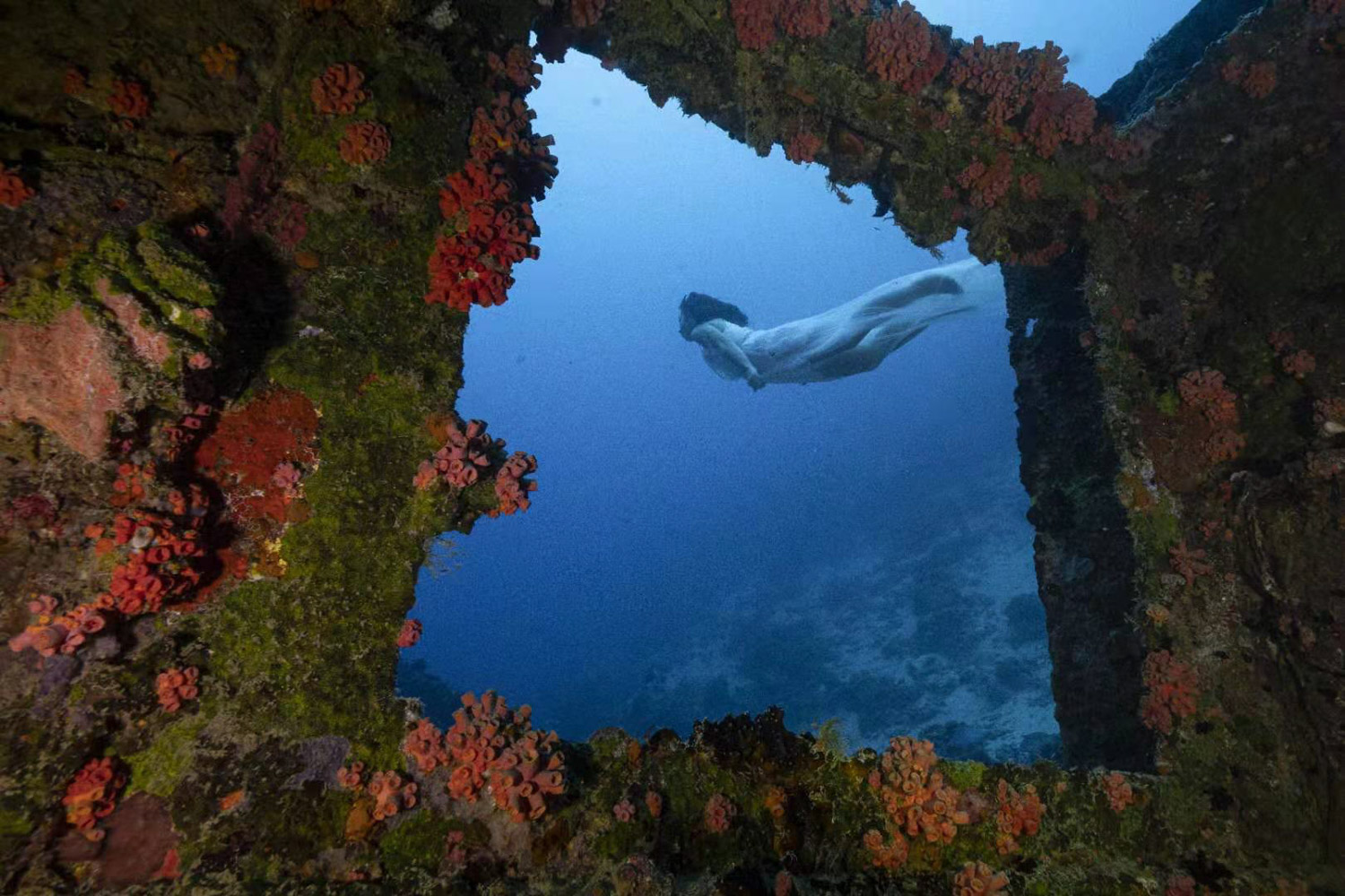 Buceo en Maldivas - Transitours blog